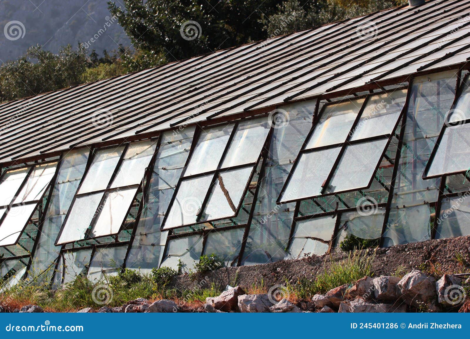 Open Windows in an Old Glass Greenhouse Stock Photo - Image of exterior ...