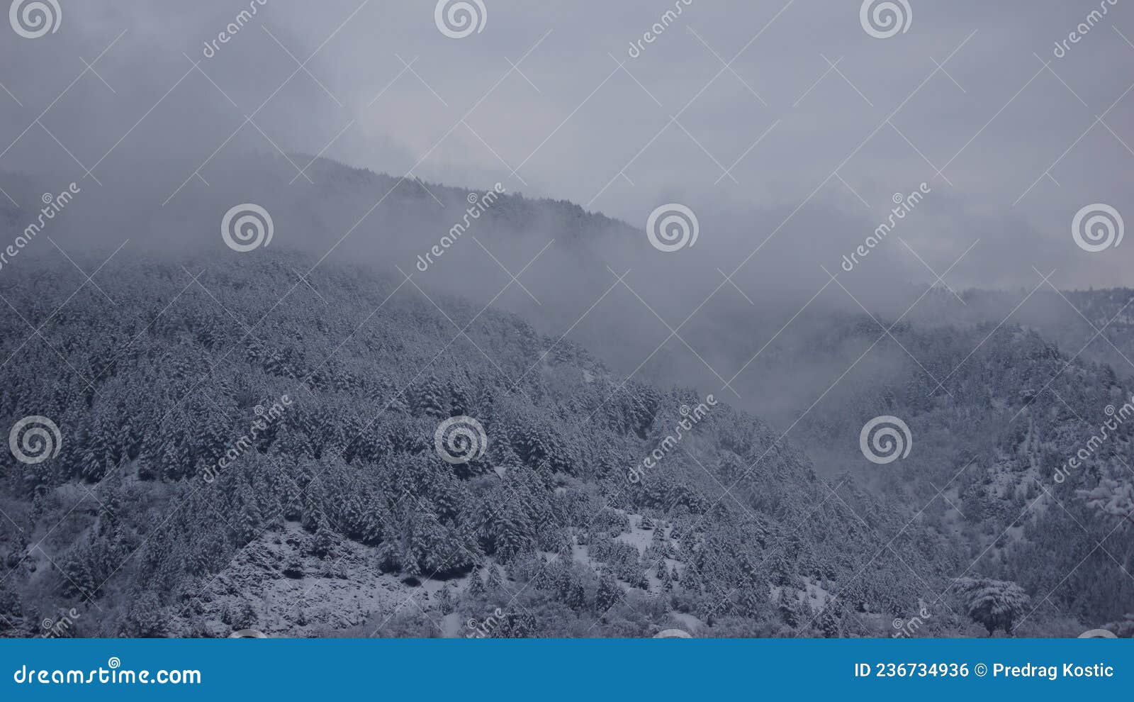 Open winter landscape stock photo. Image of hill, monochrome - 236734936