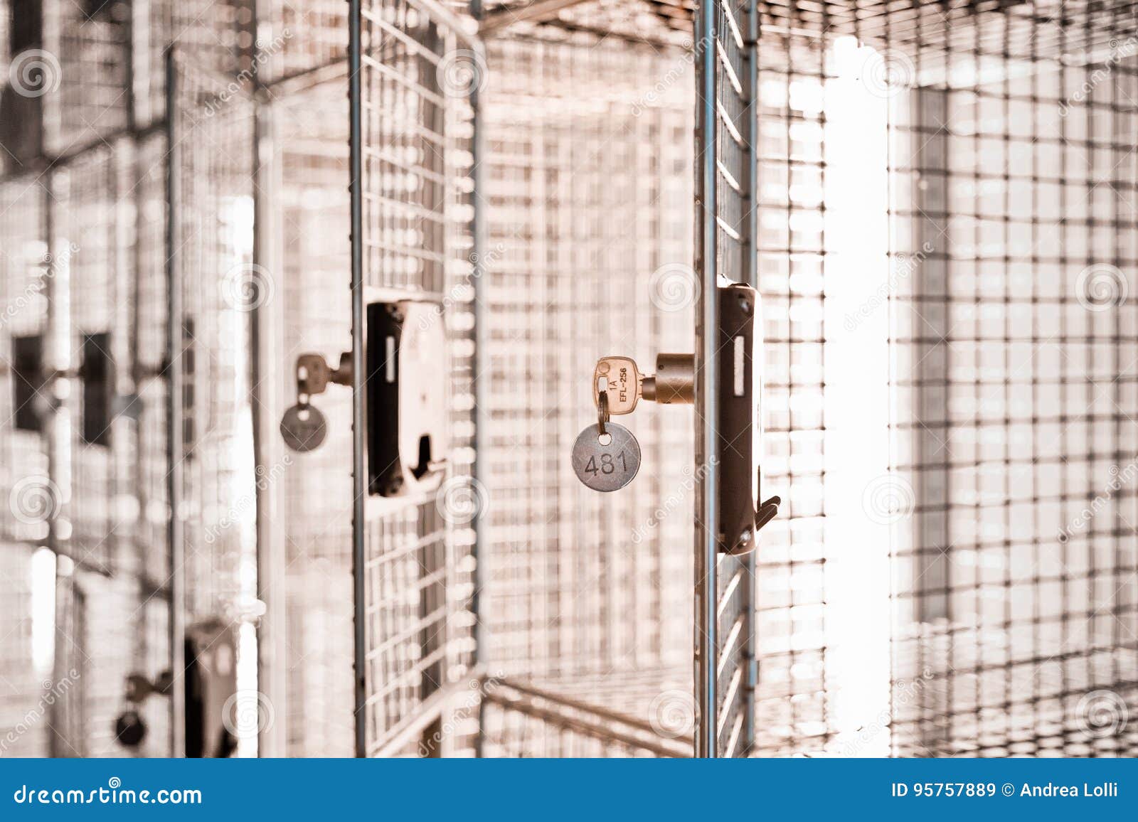 Open Wire MeshLock Box with Open Doors and Metal Silver Keys on Stock ...