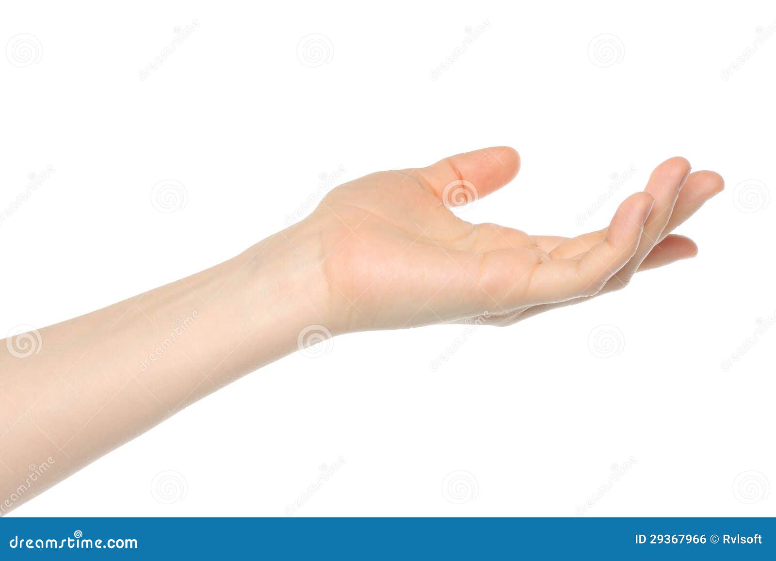 Open woman hand stock photo. Image of human, beautiful - 29367966
