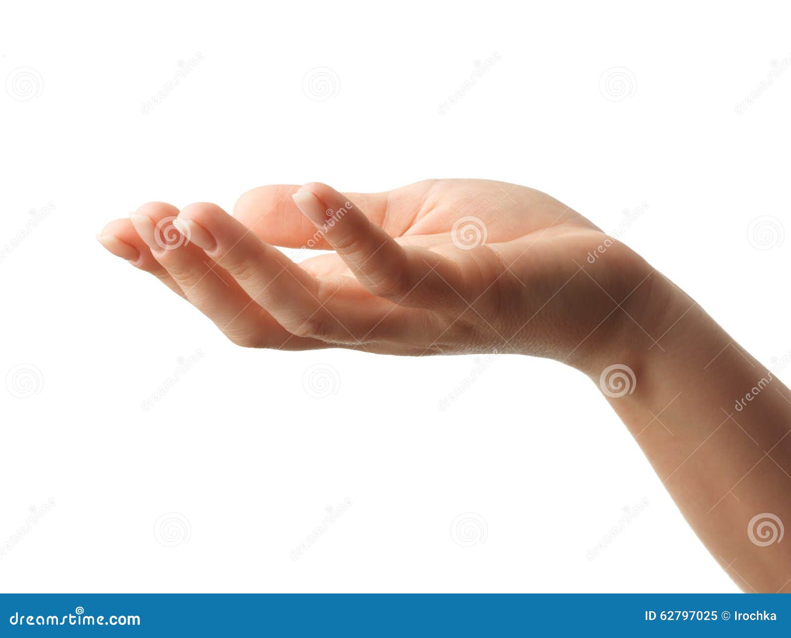 Open Woman Hand on White Background Stock Image - Image of cropped ...