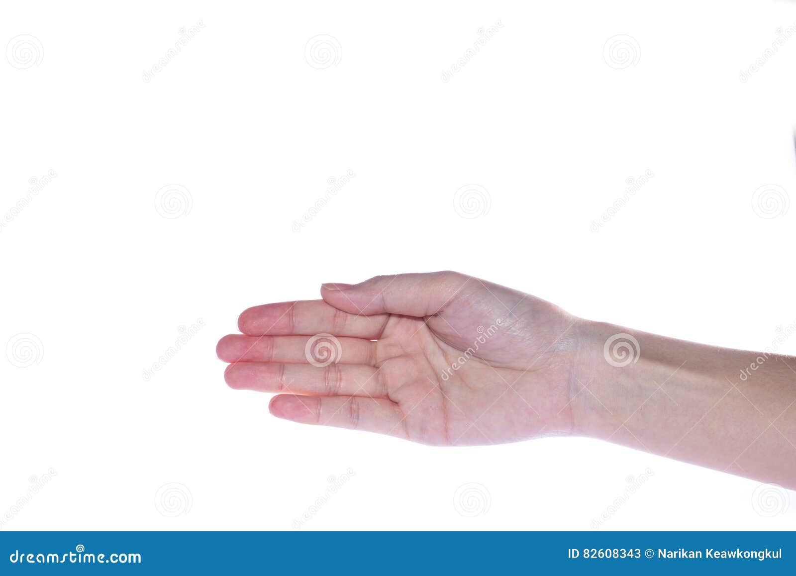 Open Woman Hand on White Background Stock Image - Image of hand ...