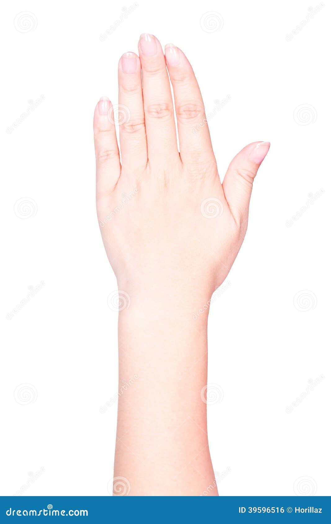 Open Woman Hand on White Background Stock Photo - Image of adult, hand ...