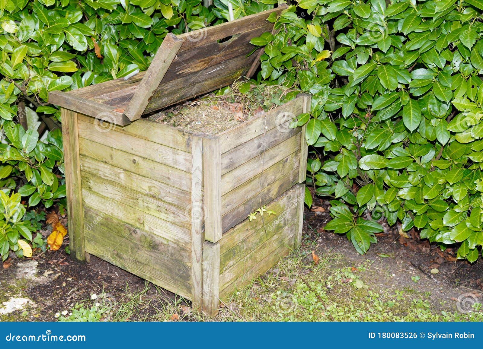 Open Wooden Compost Ecological Bin with Organic Material Stock Photo ...
