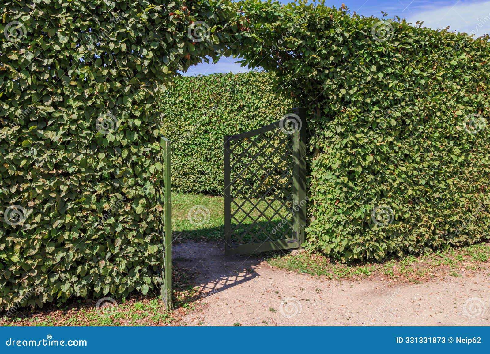 An Open Wooden Gate in a Green Hedge Stock Image - Image of summer ...
