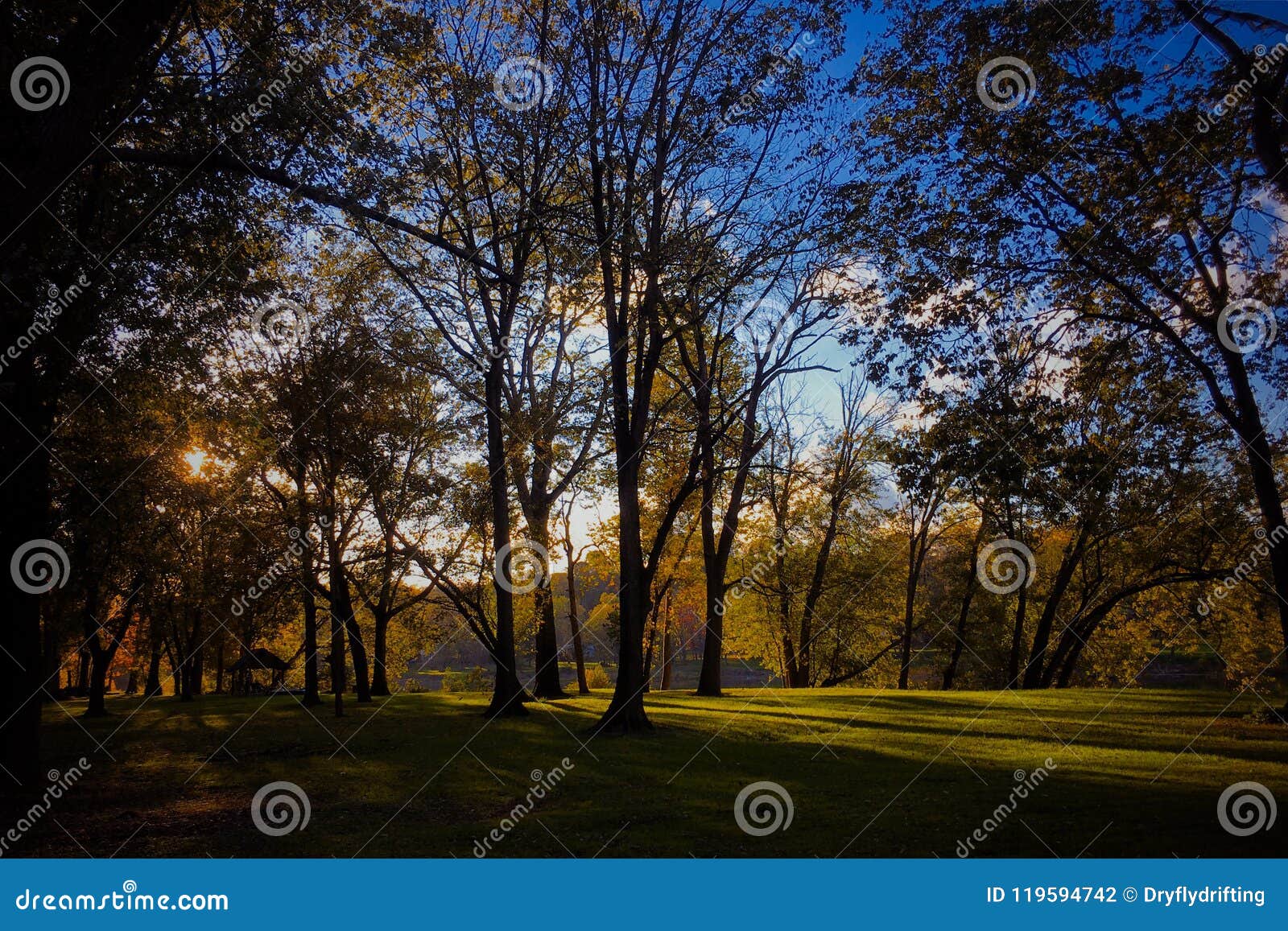 Open yard stock photo. Image of yard, grass, nice, clouds - 119594742