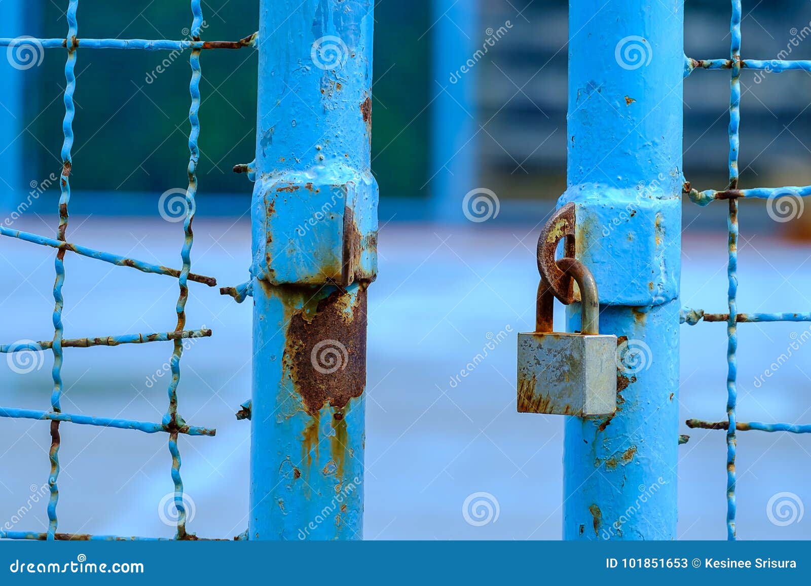 Opened Blue Gate with Key Lock Stock Image - Image of guard, outdoor ...