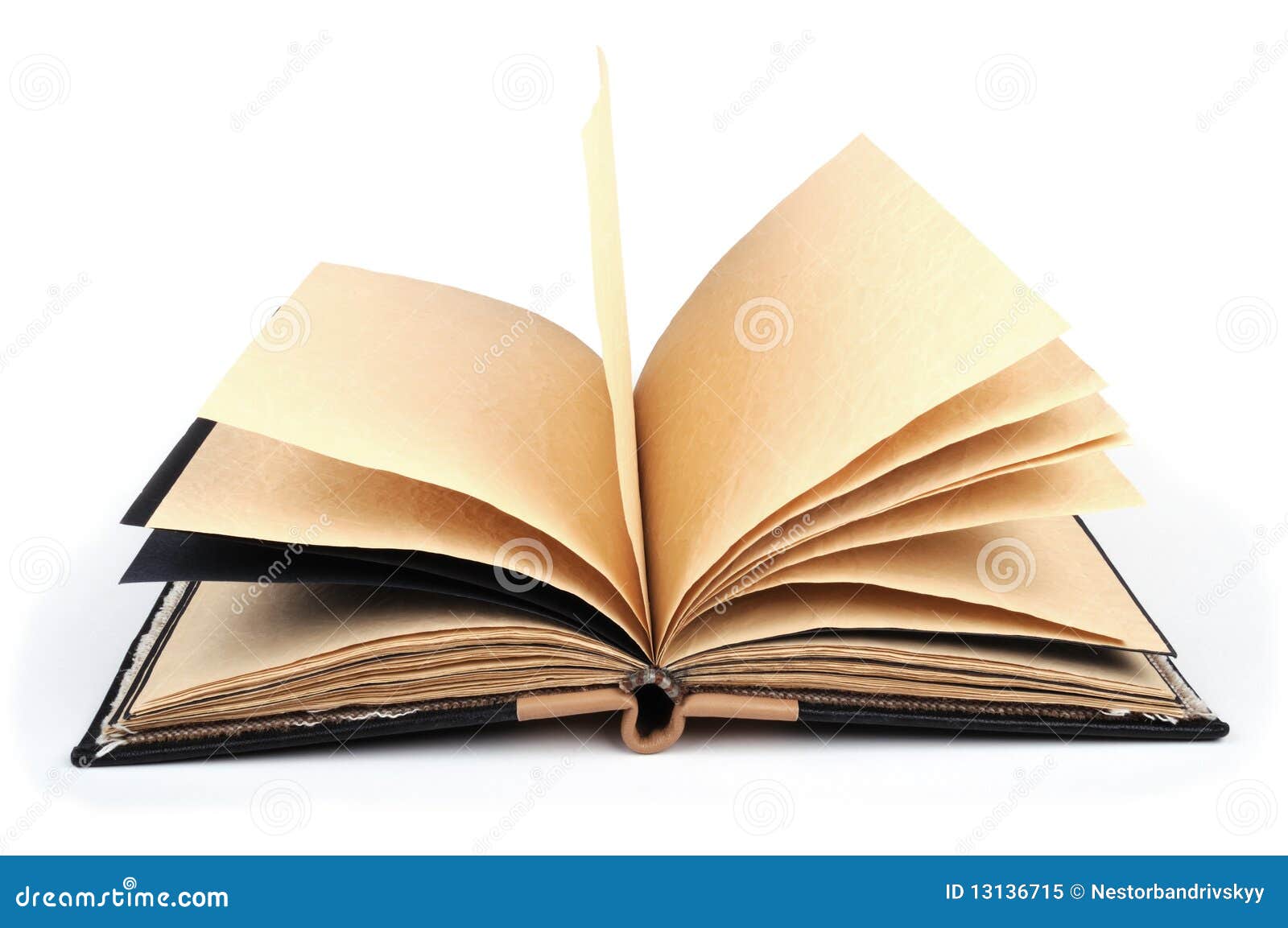 Opened book stock image. Image of paper, sheet, reading - 13136715