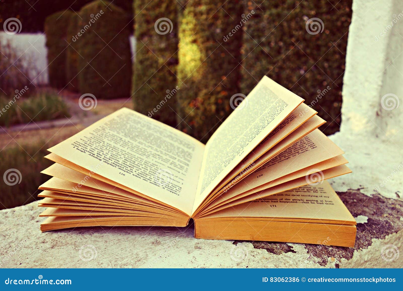 Opened Book Picture. Image: 83062386