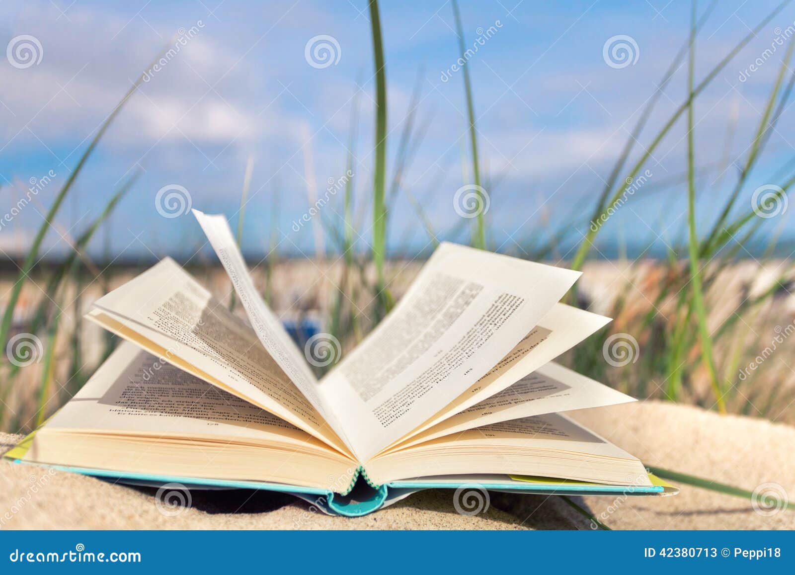Opened book at the beach stock image. Image of opened - 42380713