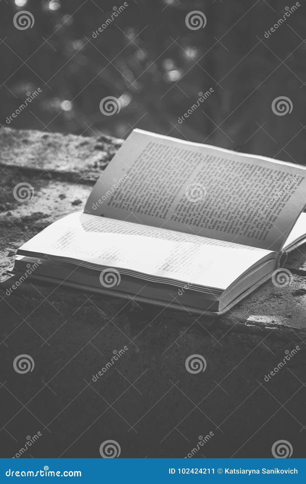 Opened book stock image. Image of open, books, book - 102424211