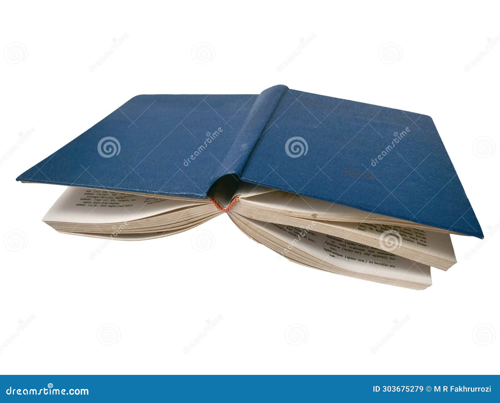 Opened Book, Cut Out Isolated Stock Image - Image of literature, blank ...