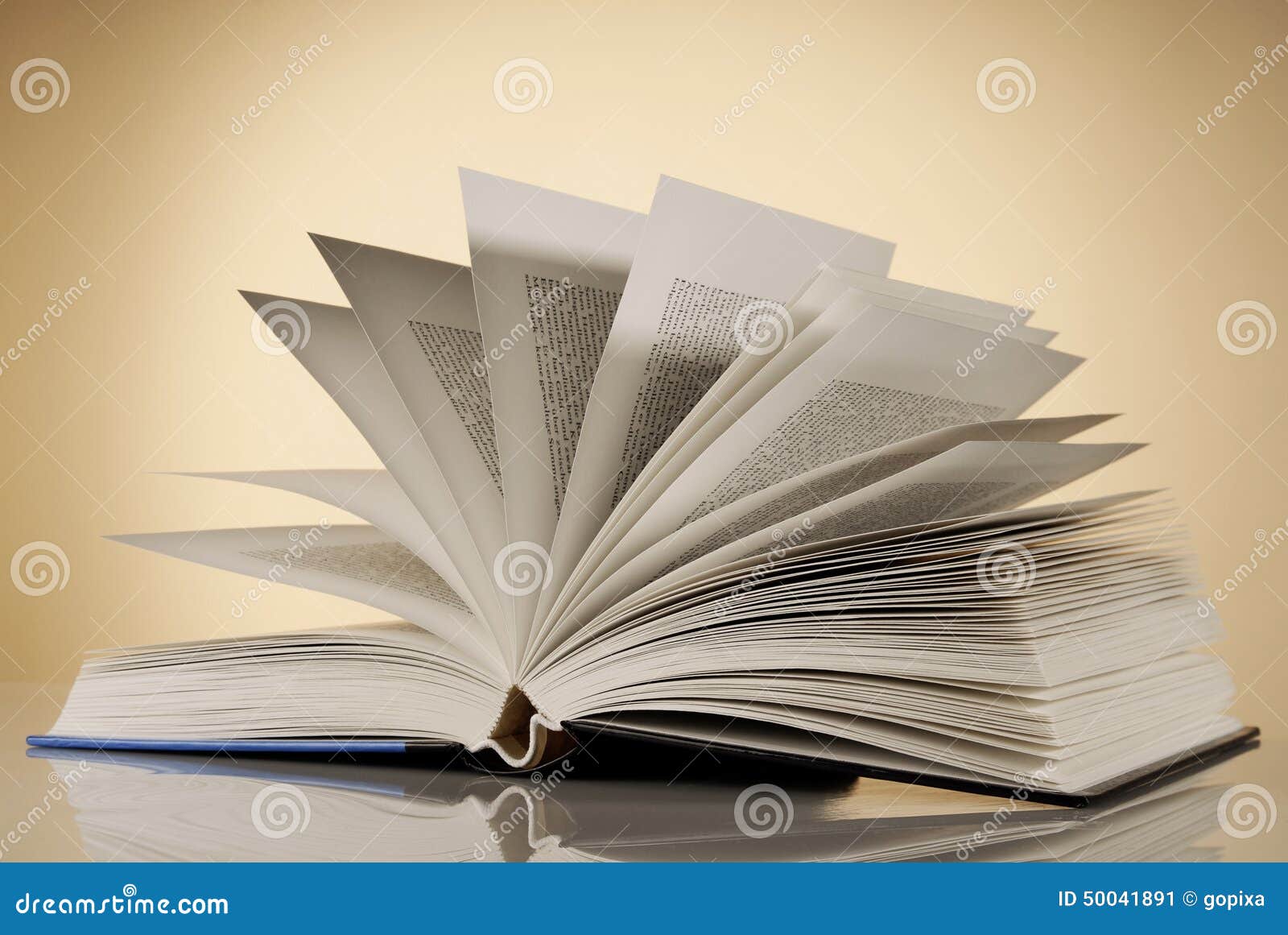 Opened book stock image. Image of literature, read, perspective - 50041891