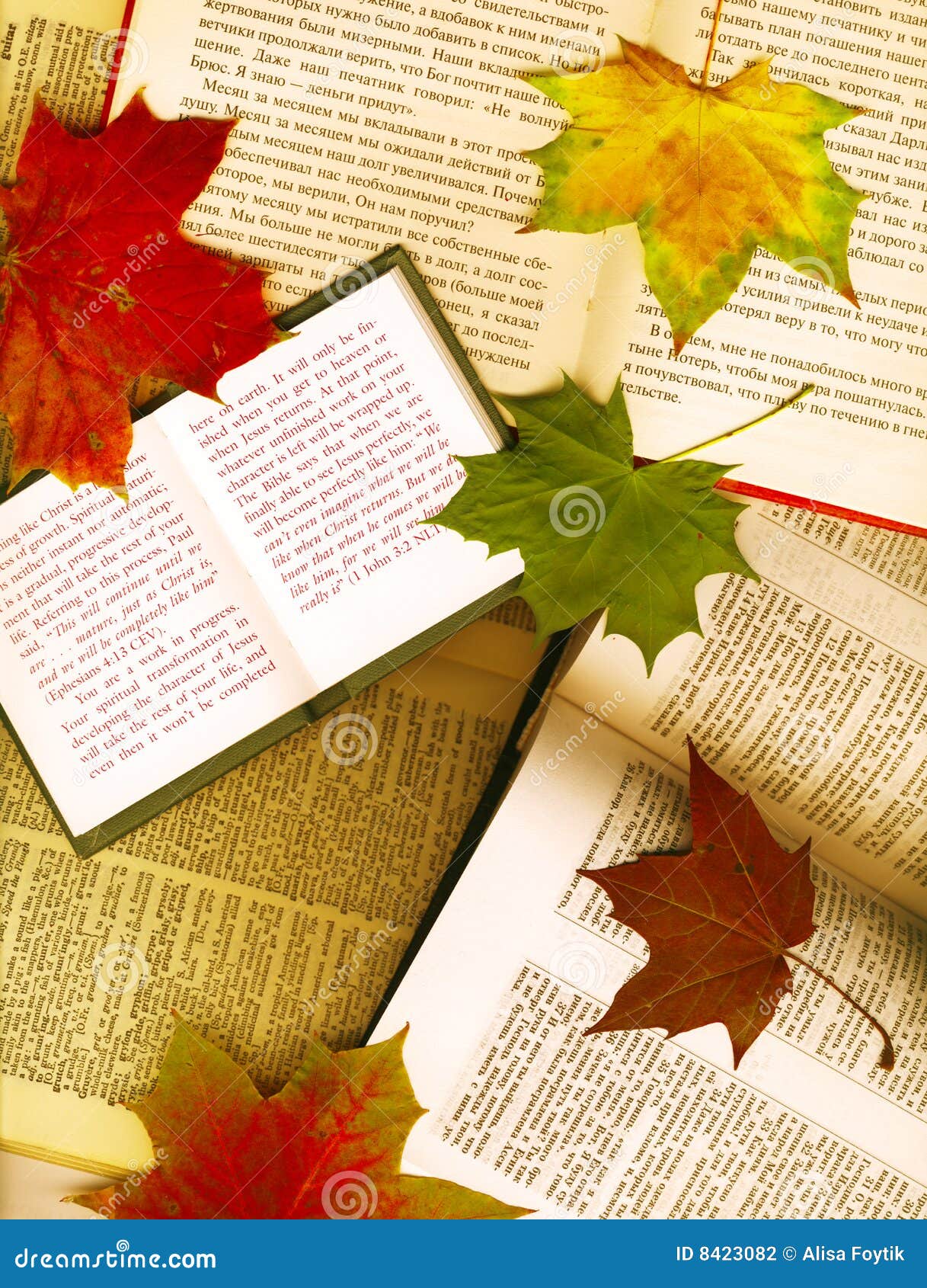 Opened Books and Maple Leaves Stock Photo - Image of research, trial ...
