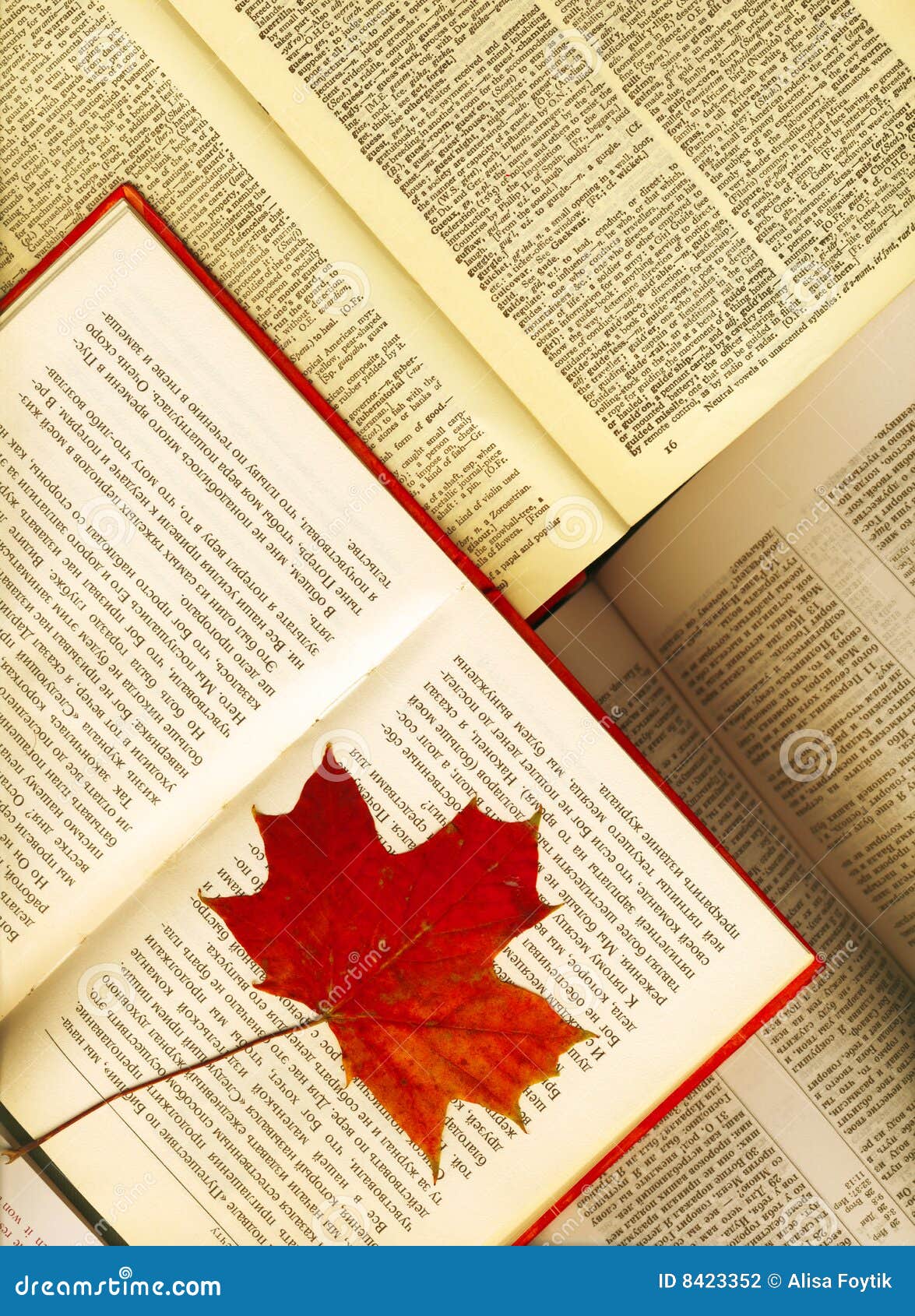 Opened Books and Maple Leaves Stock Photo - Image of report, page: 8423352