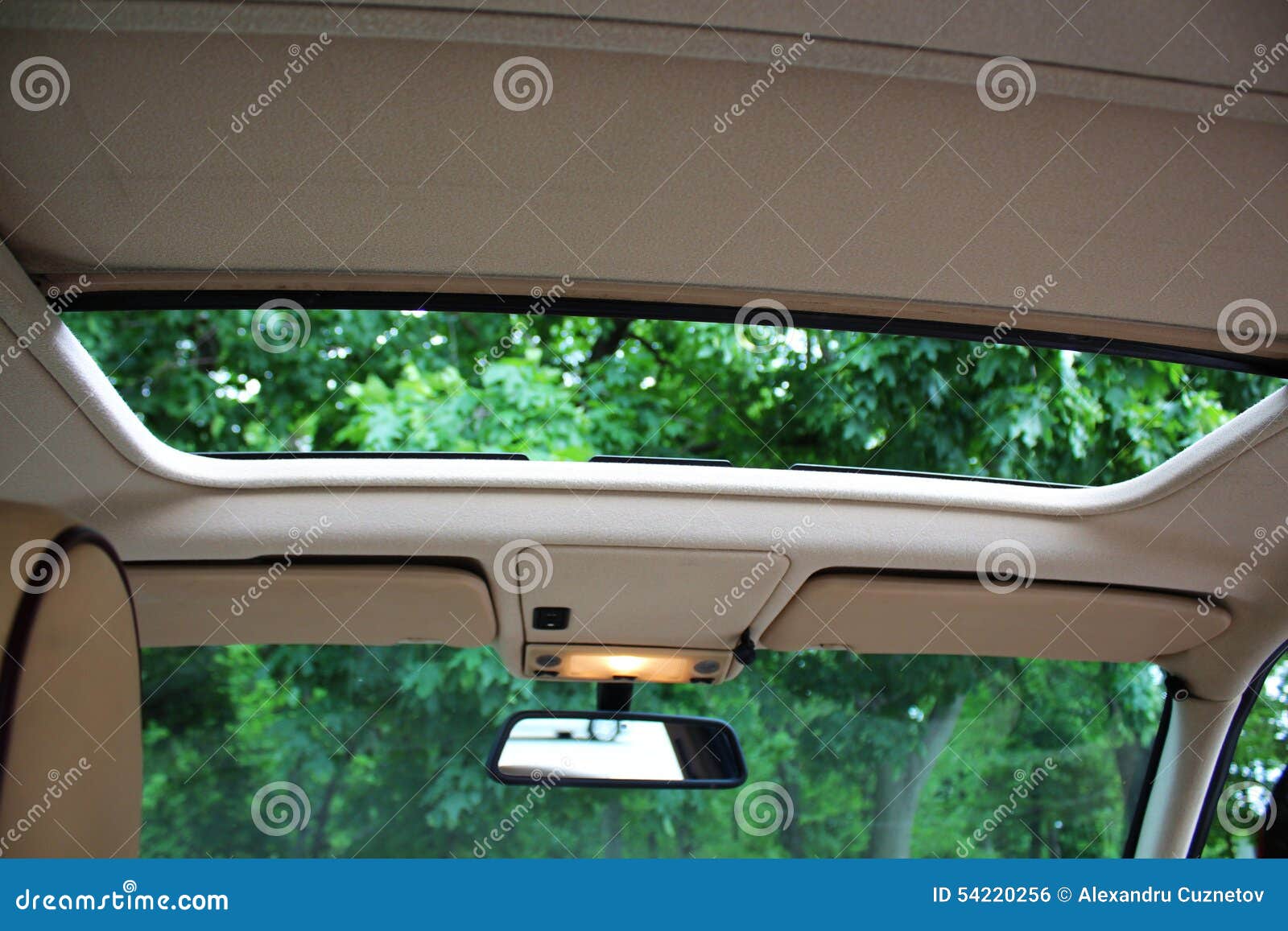 Opened Car roof stock photo. Image of natural, people - 54220256