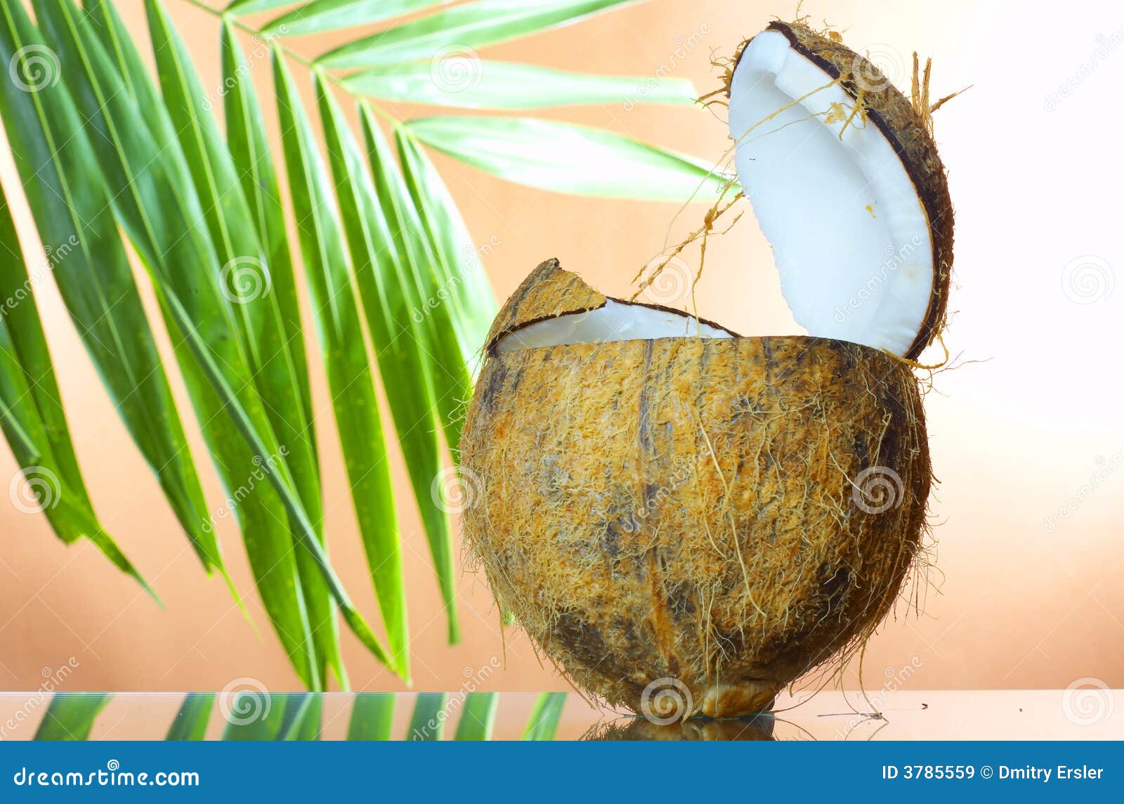 Opened Coconut Picture. Image: 3785559