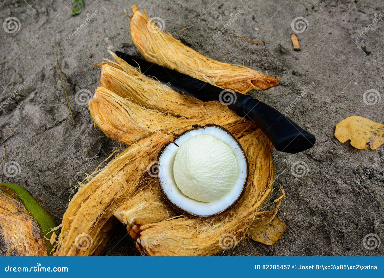 Opened coconut stock image. Image of nature, diet, fresh - 82205457