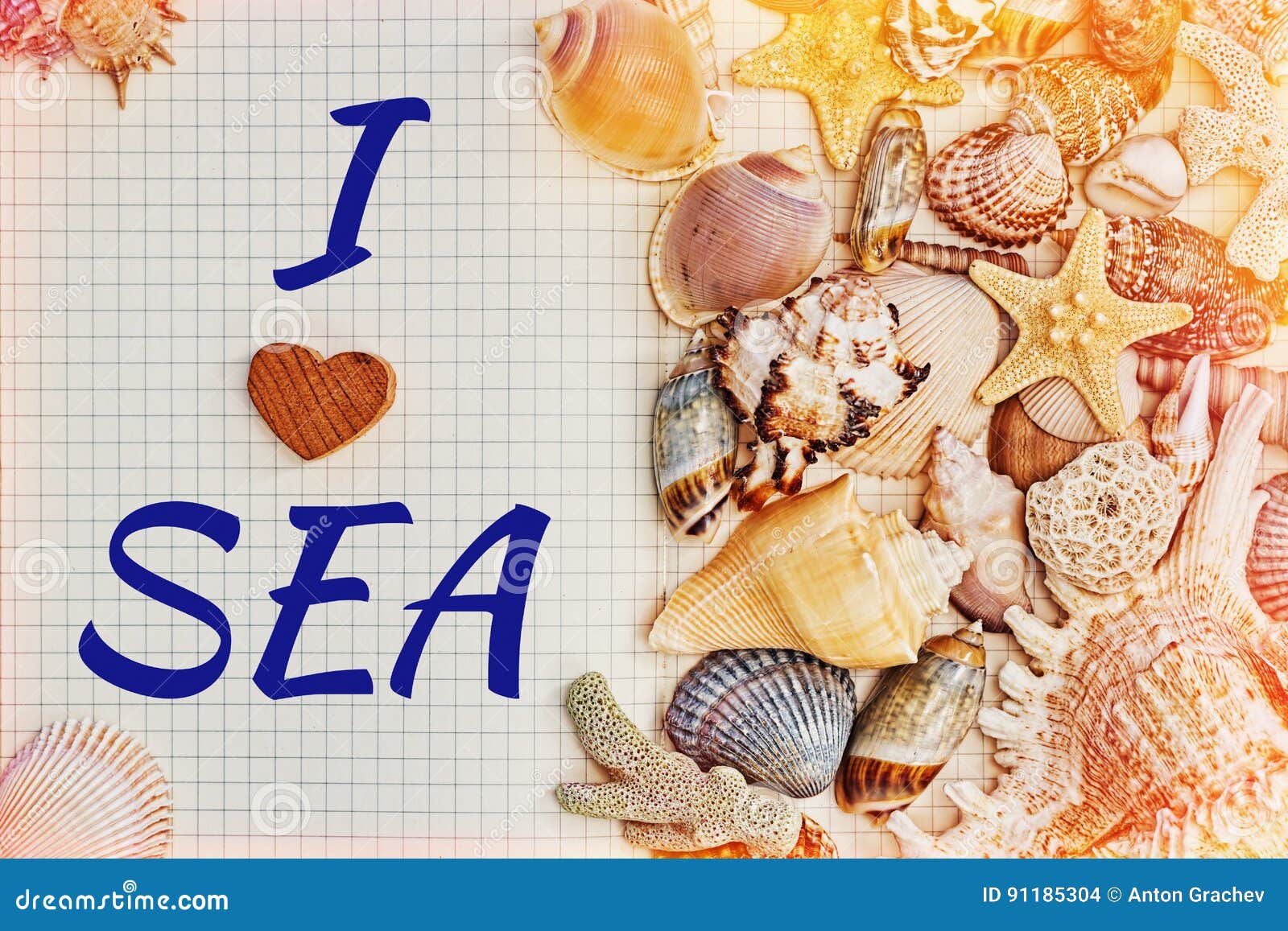 Opened Diary with a Tagline Covered by Sea Shells Stock Photo - Image ...