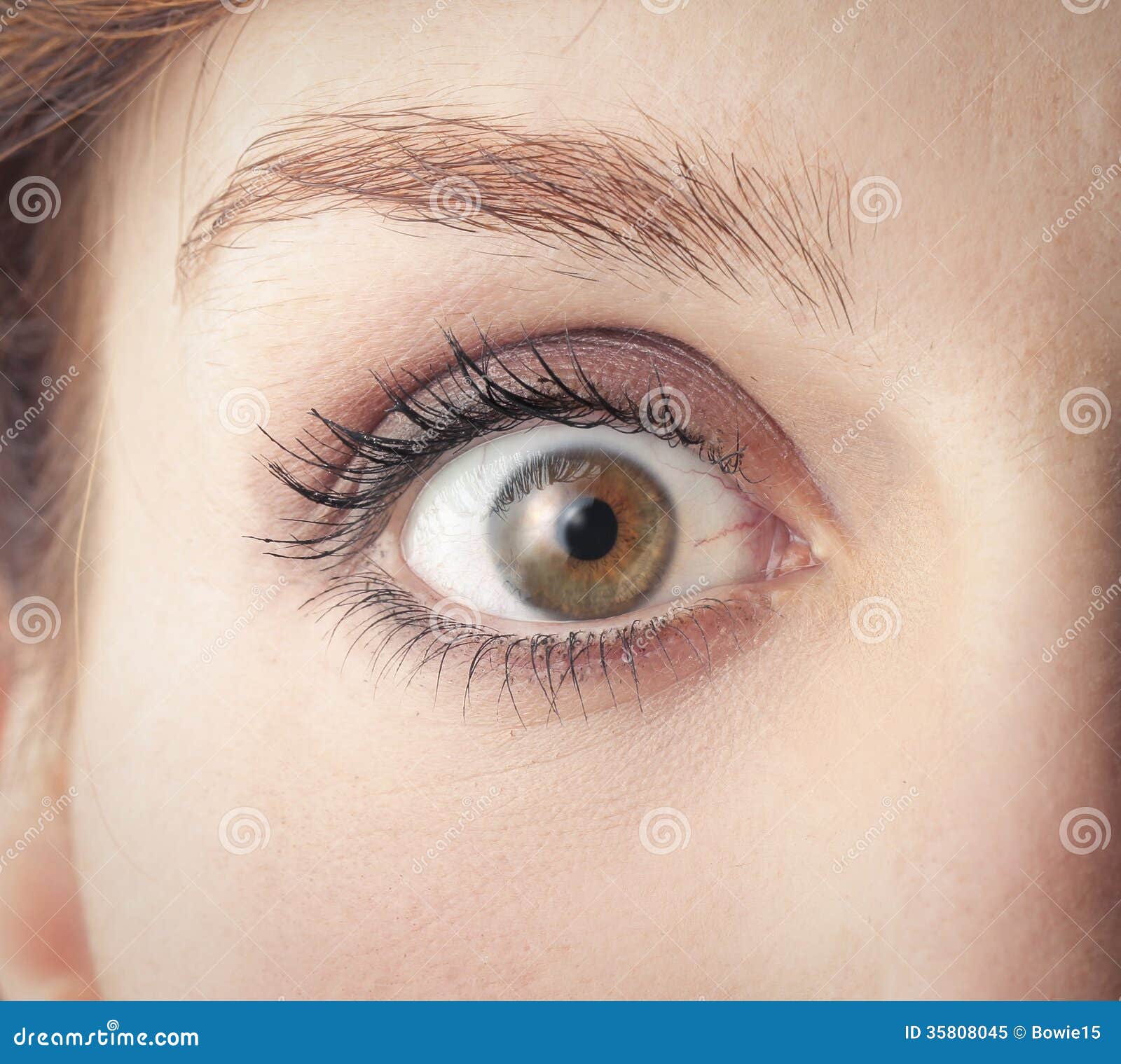 Opened eye stock image. Image of stupor, control, sight - 35808045