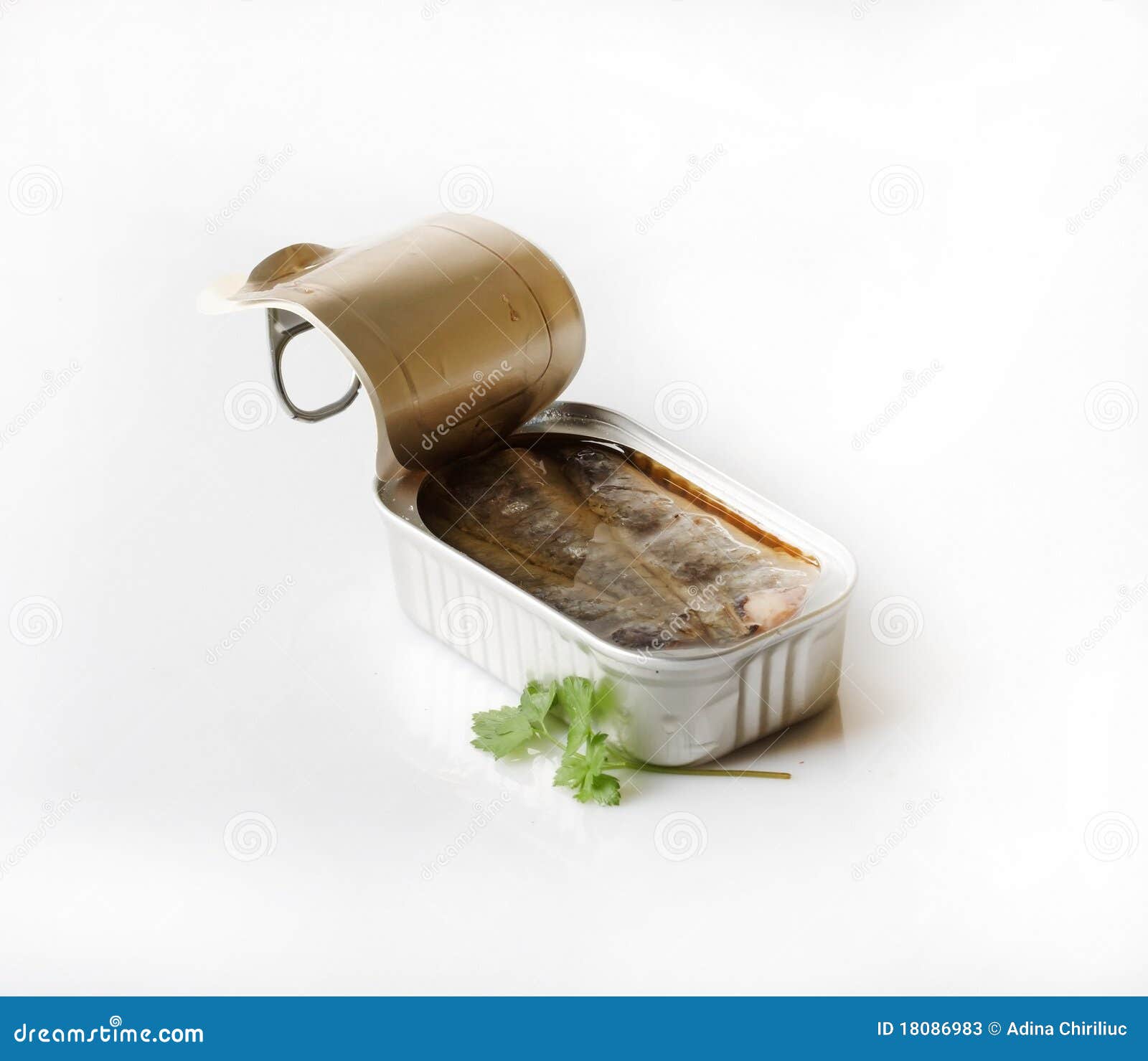 Opened fish can stock image. Image of food, container - 18086983