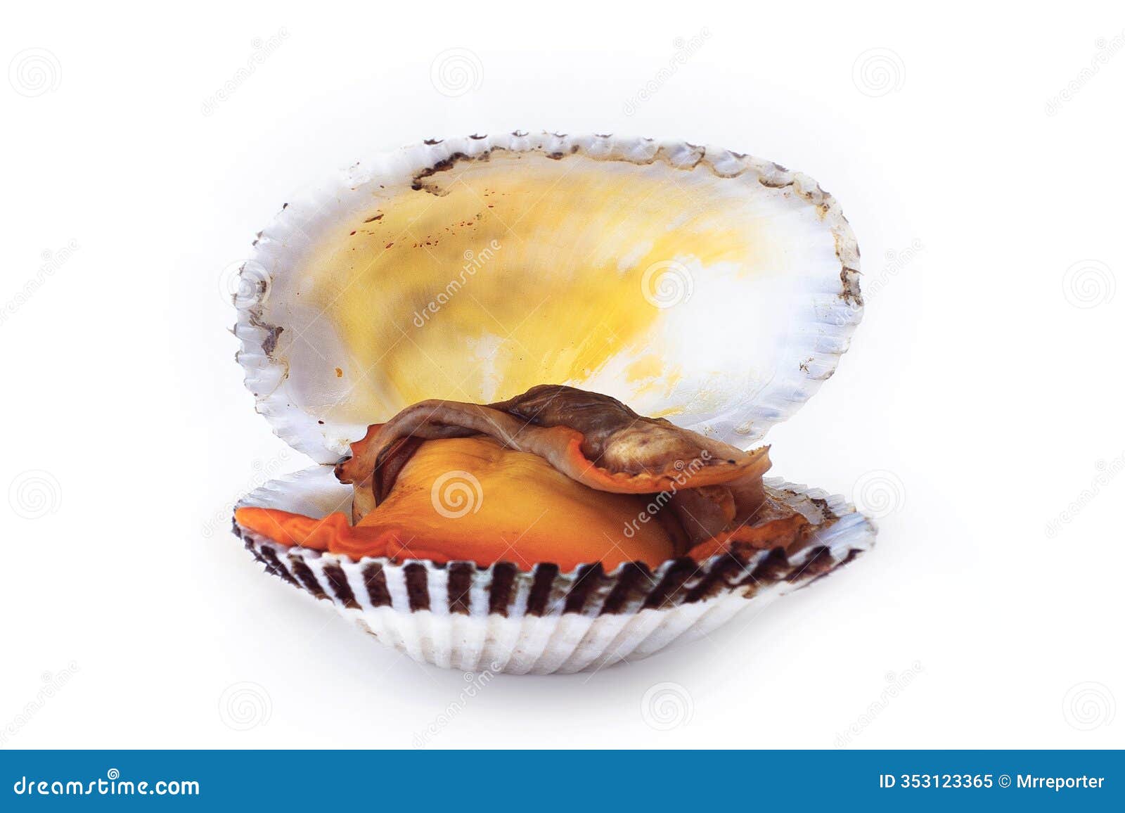 Opened Fresh Green Pea Pod With Peas On Palm Royalty-Free Stock Image ...