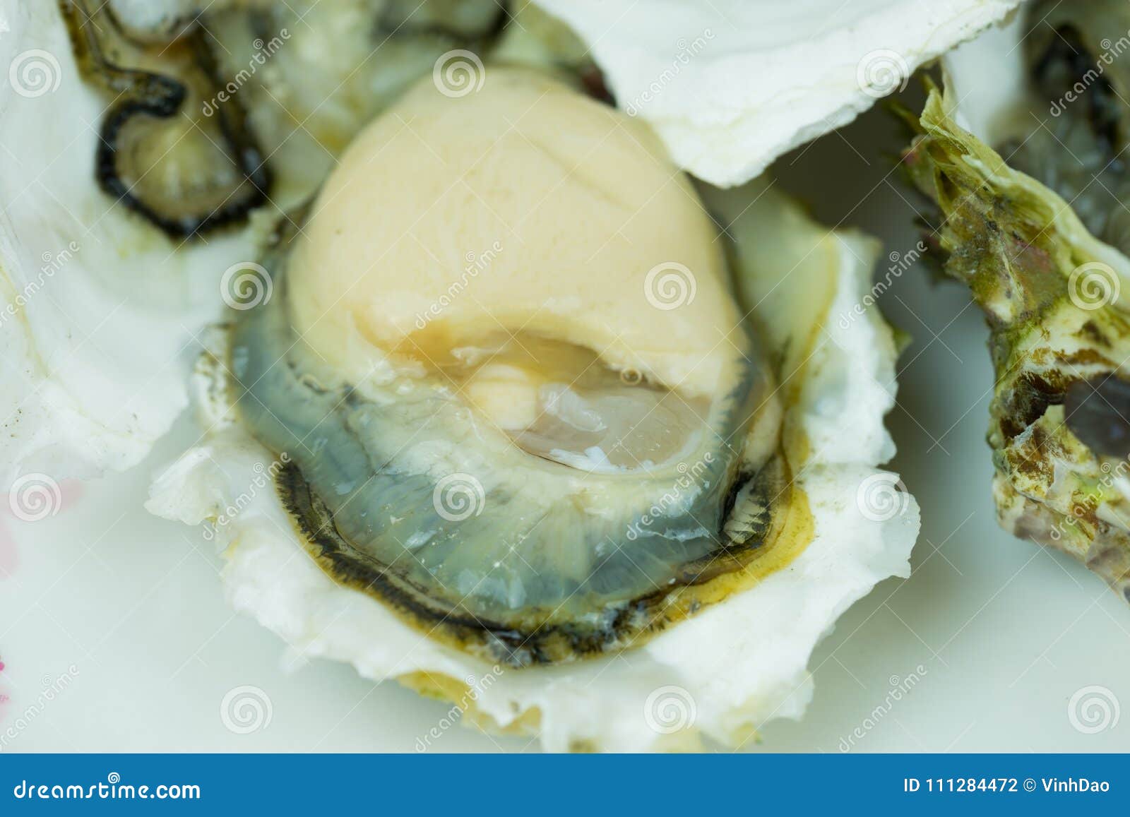 Opened Fresh Shucked Oysters Ready for Eating Stock Photo - Image of ...