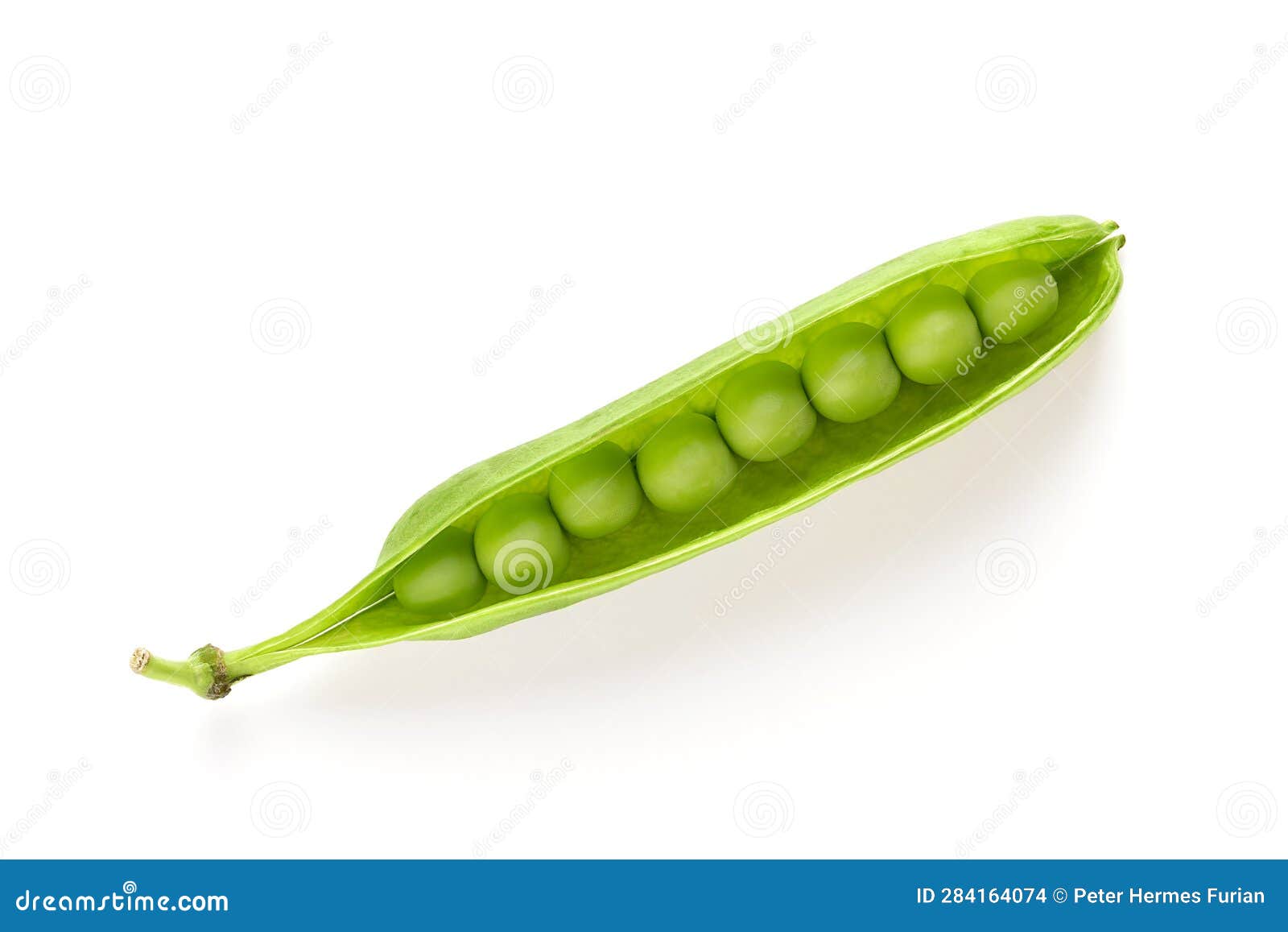 Green Peas, Open Pod, Insight into an Open Fresh Pea Pod, from Above ...
