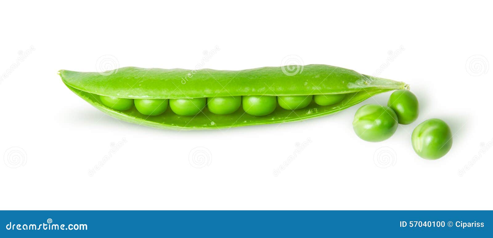 Opened Green Pea Pod and Peas Top View Stock Photo - Image of ...