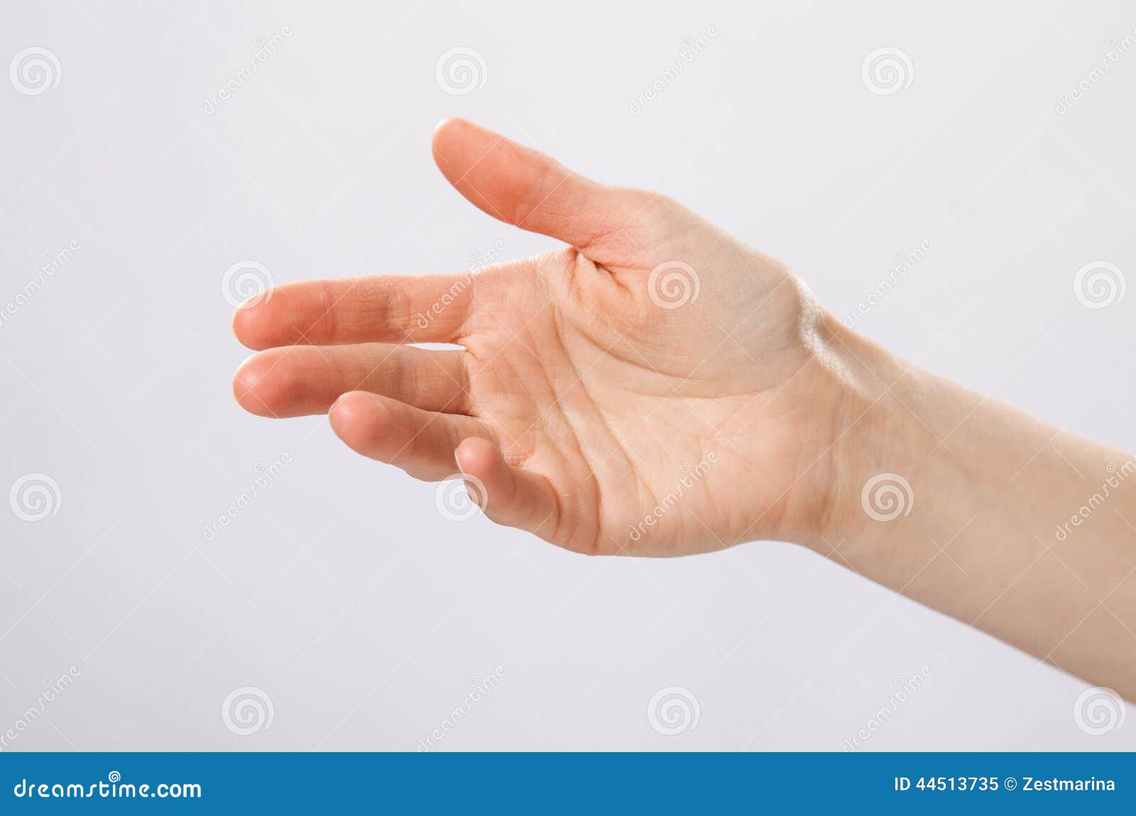 Opened human hand stock image. Image of love, positive - 44513735