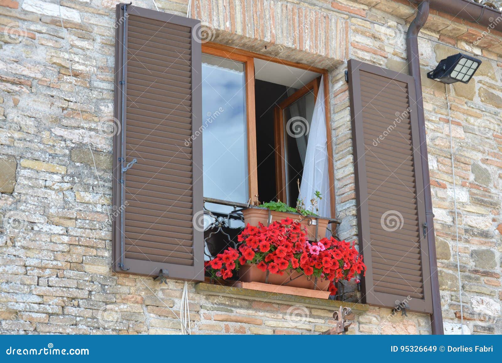 Opened Italian window stock image. Image of petunias - 95326649