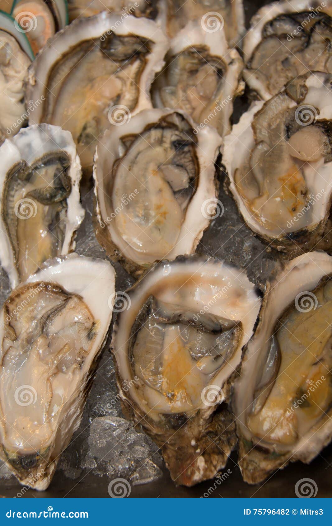Opened Natural Oyster in Shell Stock Photo - Image of prepared, food ...