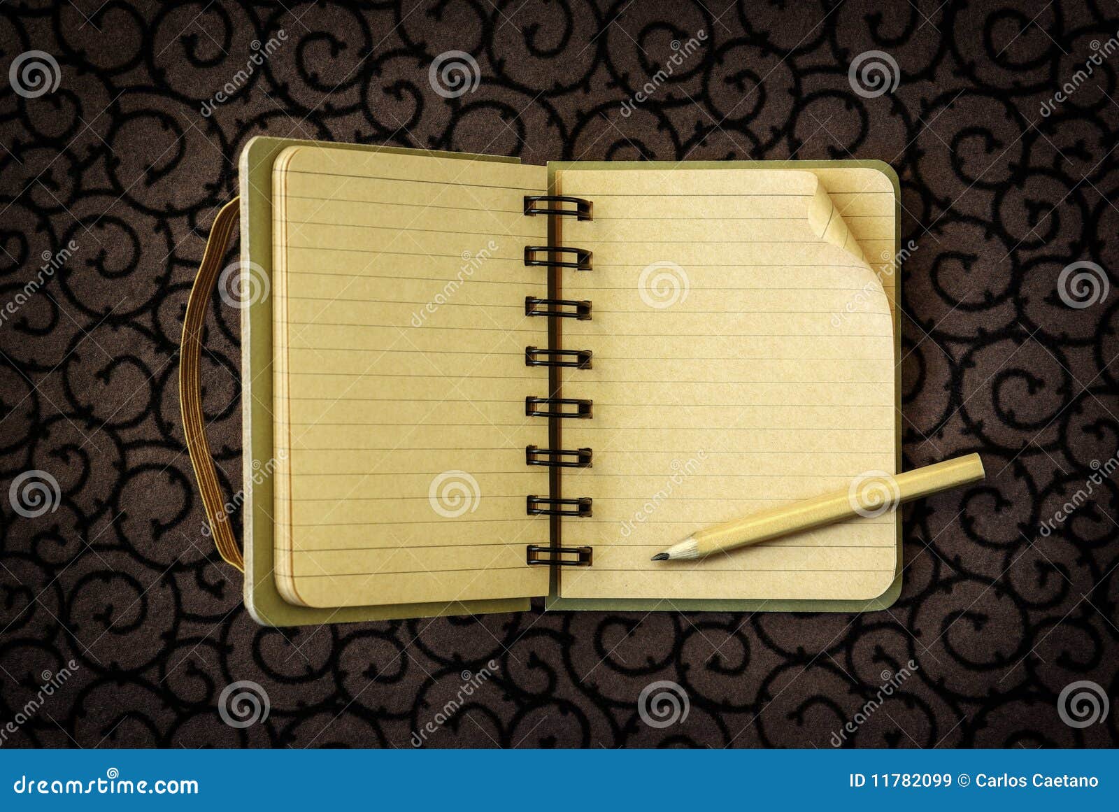 Opened Notebook stock image. Image of card, curl, empty - 11782099