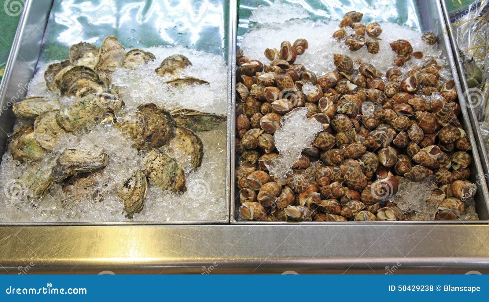 Opened Oysters and Wing Shells on Ice for Selling Stock Photo - Image ...