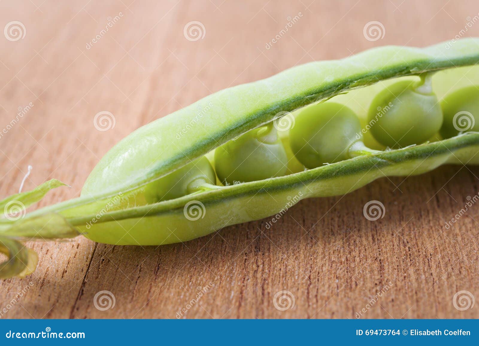 Opened pea pod stock photo. Image of vegetables, organic - 69473764