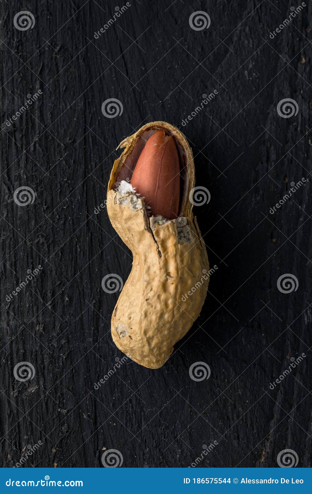 Opened Peanut Nutshell stock photo. Image of skin, detail - 186575544