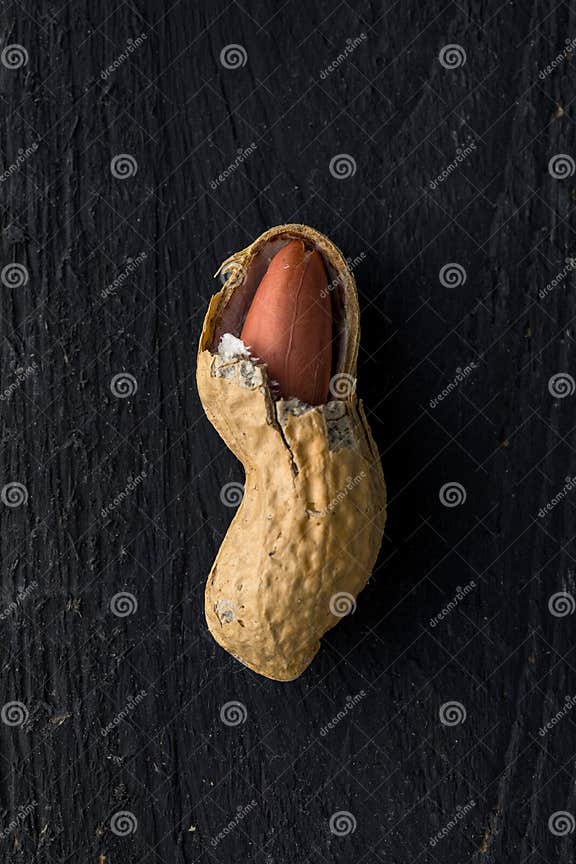 Opened Peanut Nutshell stock photo. Image of skin, detail - 186575544