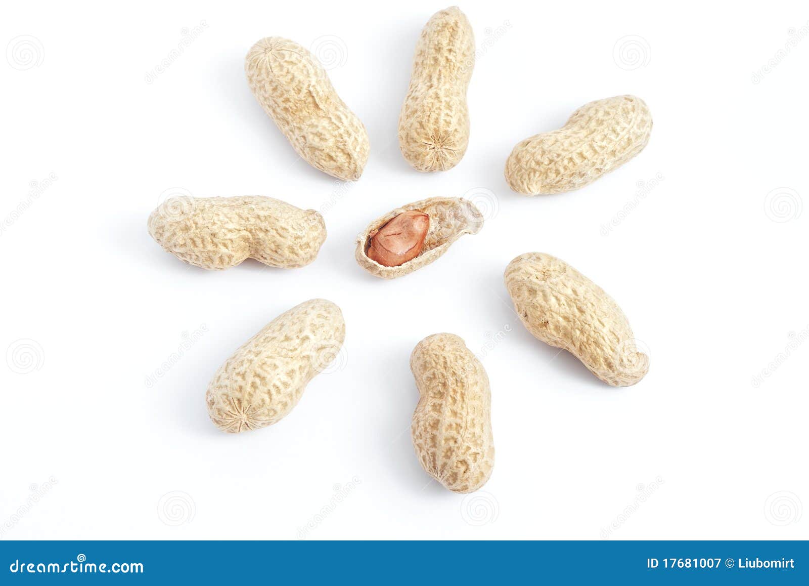 Opened Peanut Shell with Kernel Stock Image - Image of dessert, natural ...