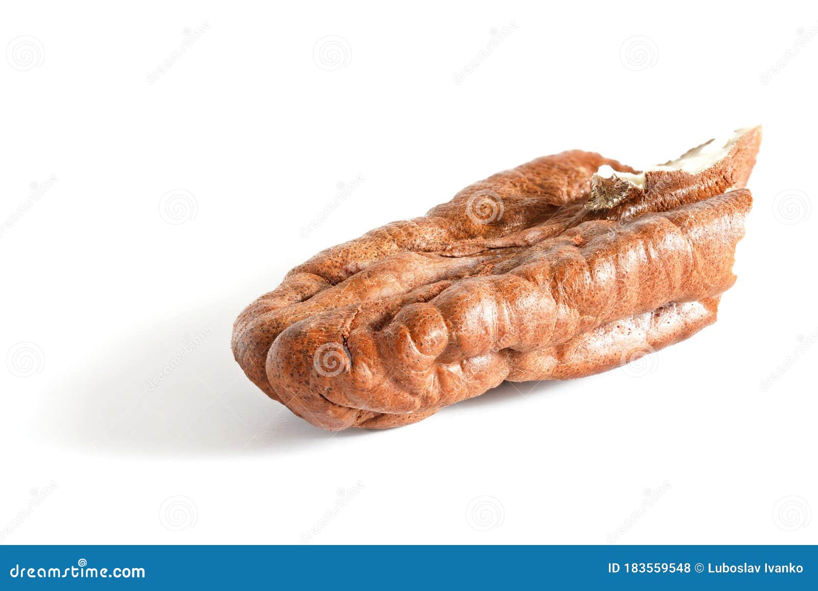 Opened Pecan Nut Kernel without Shell Isolated on White Background ...