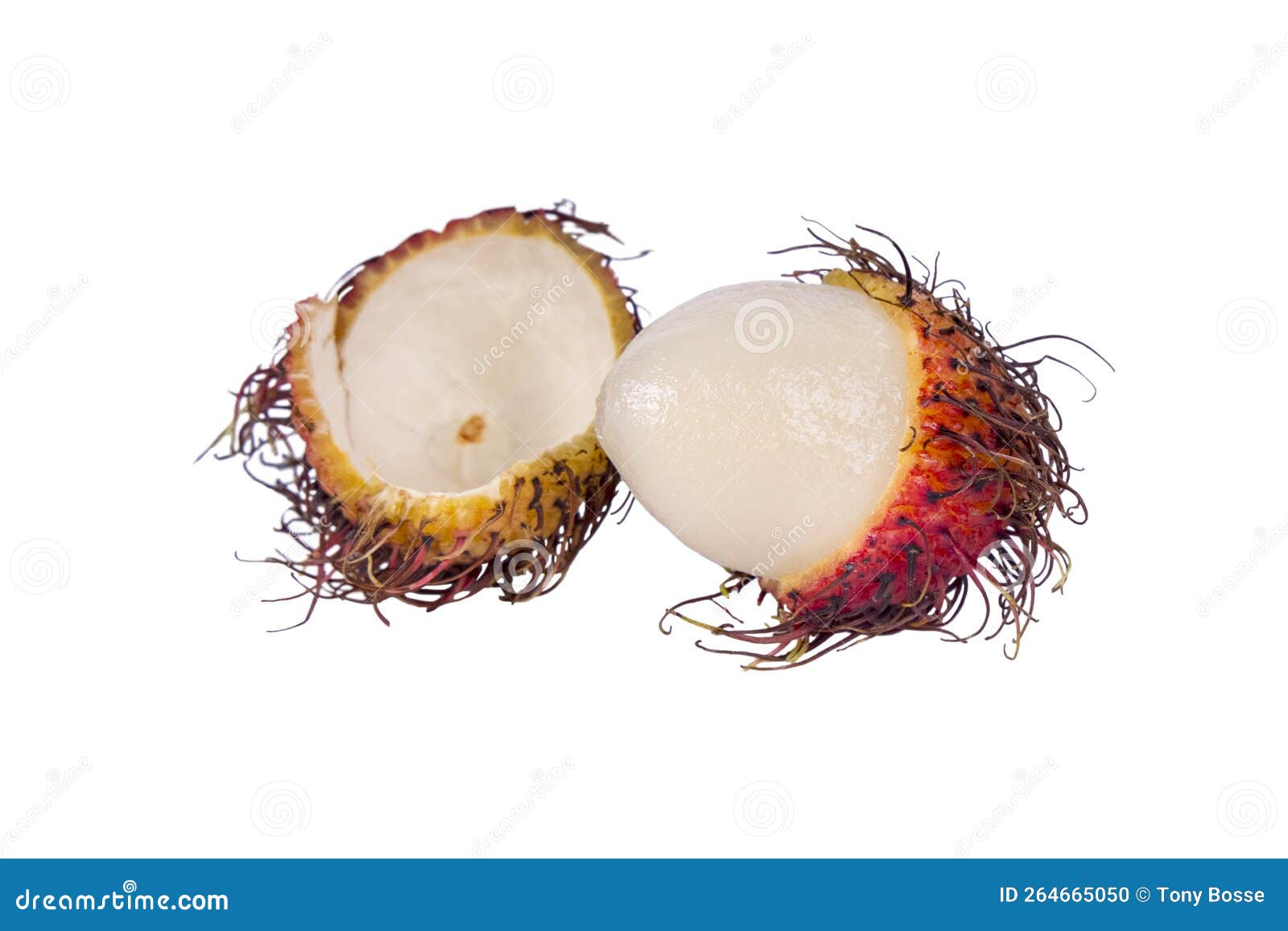 Opened Rambutan, Isolated stock photo. Image of nutritious - 264665050