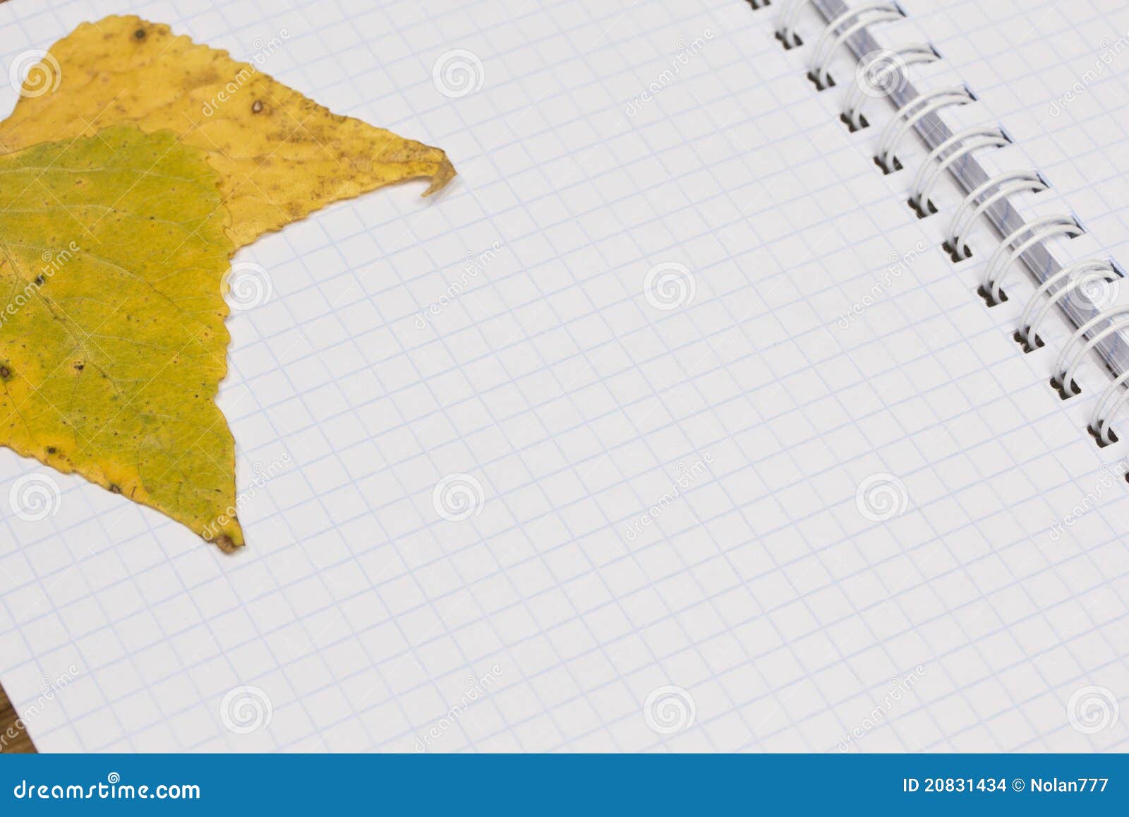 Opened school notebook stock photo. Image of autumn, spiral - 20831434