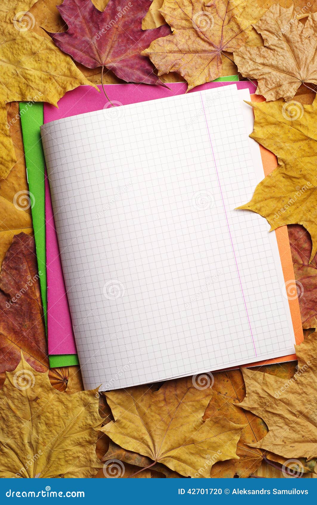 Opened school notebooks stock photo. Image of college - 42701720