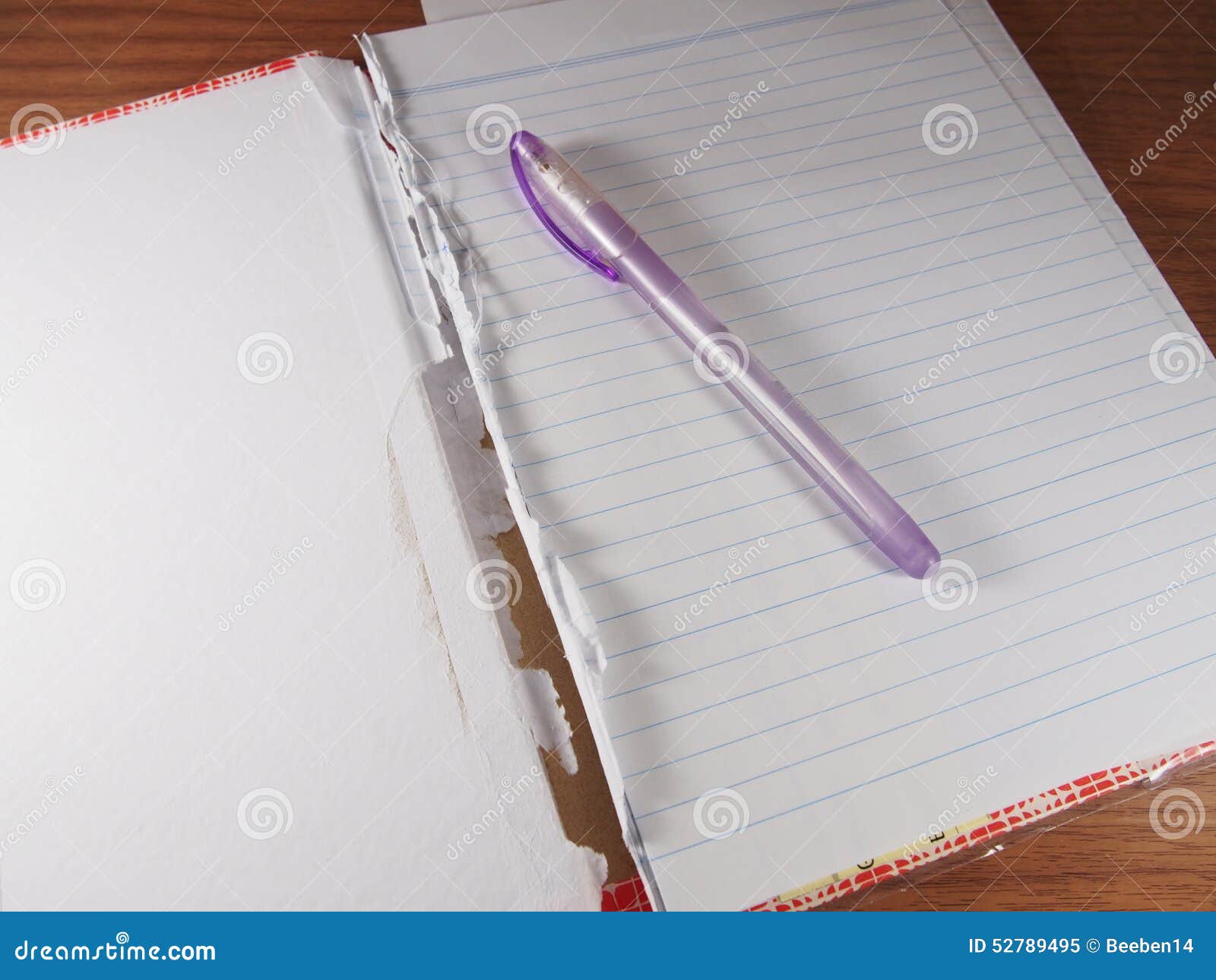 School Boy Ripping Up Homework Royalty-Free Stock Photography ...