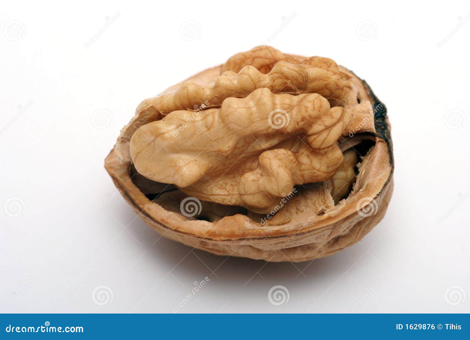 Opened Walnut stock photo. Image of wrinkled, brown, edible - 1629876