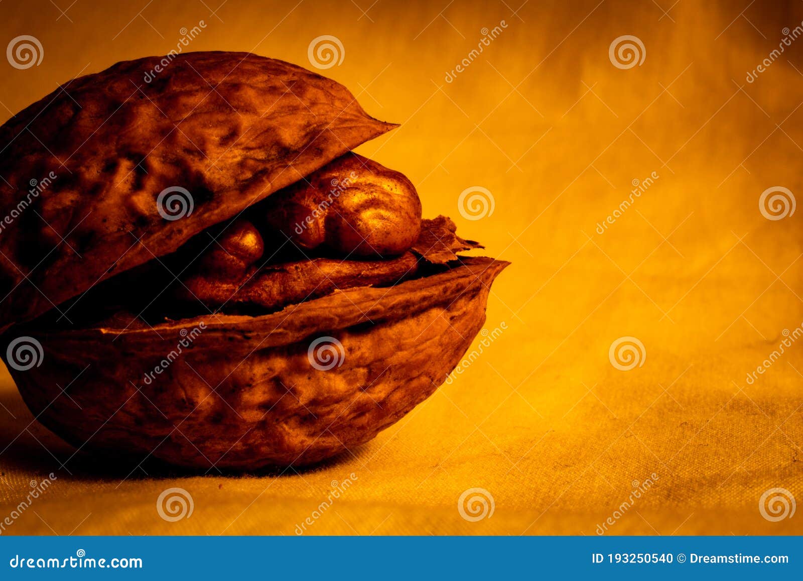 Opened Walnut Close-up View Stock Photo - Image of walnut, close: 193250540