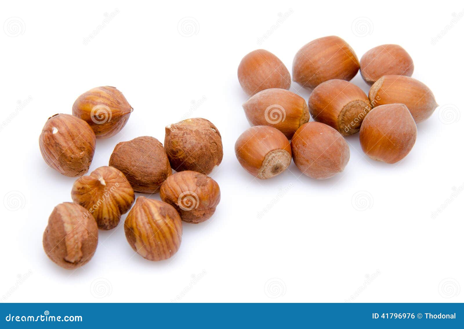 Opened and whole hazelnuts stock photo. Image of hazelnuts - 41796976