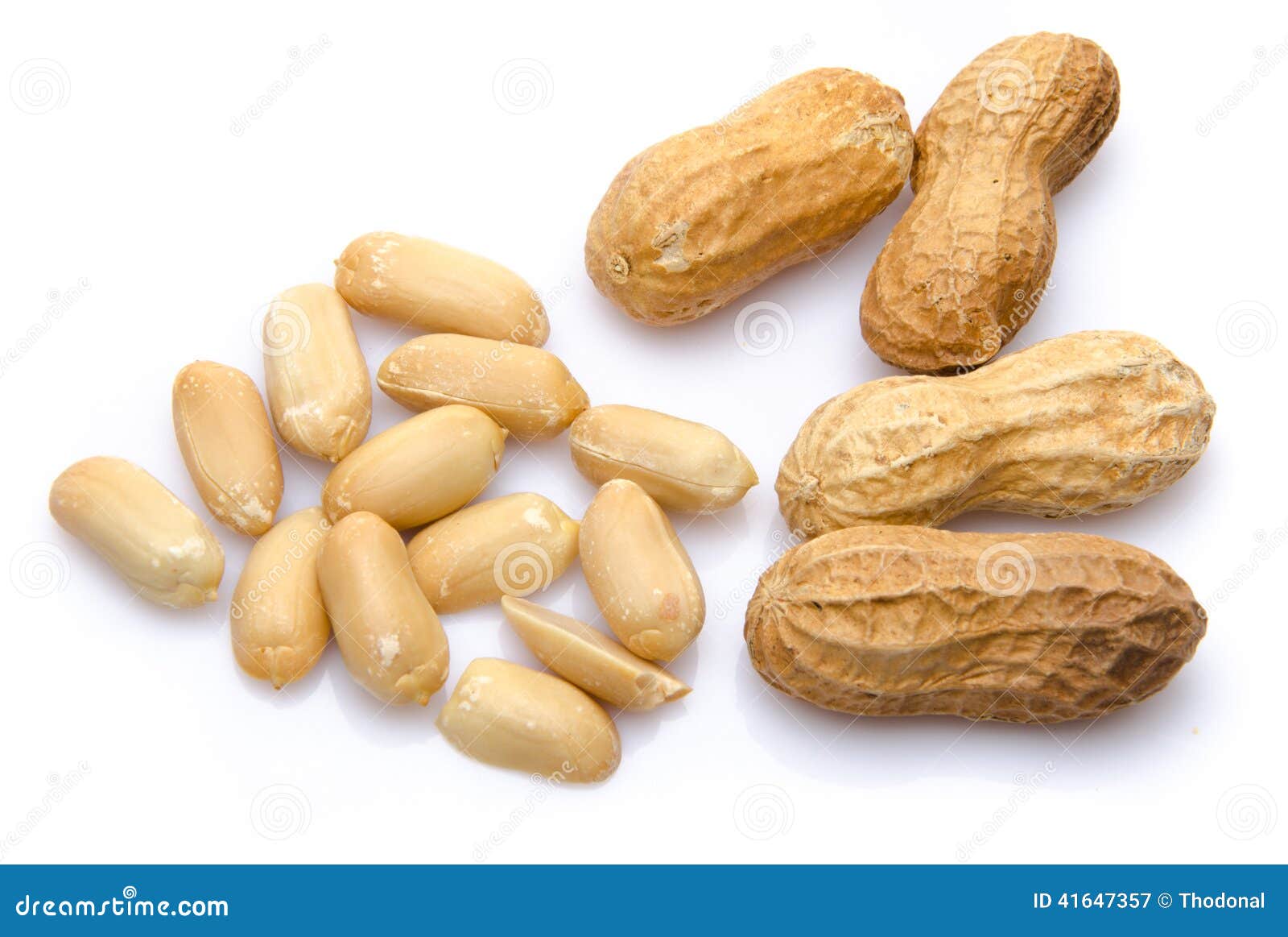 Opened and whole peanuts stock image. Image of groundnut - 41647357