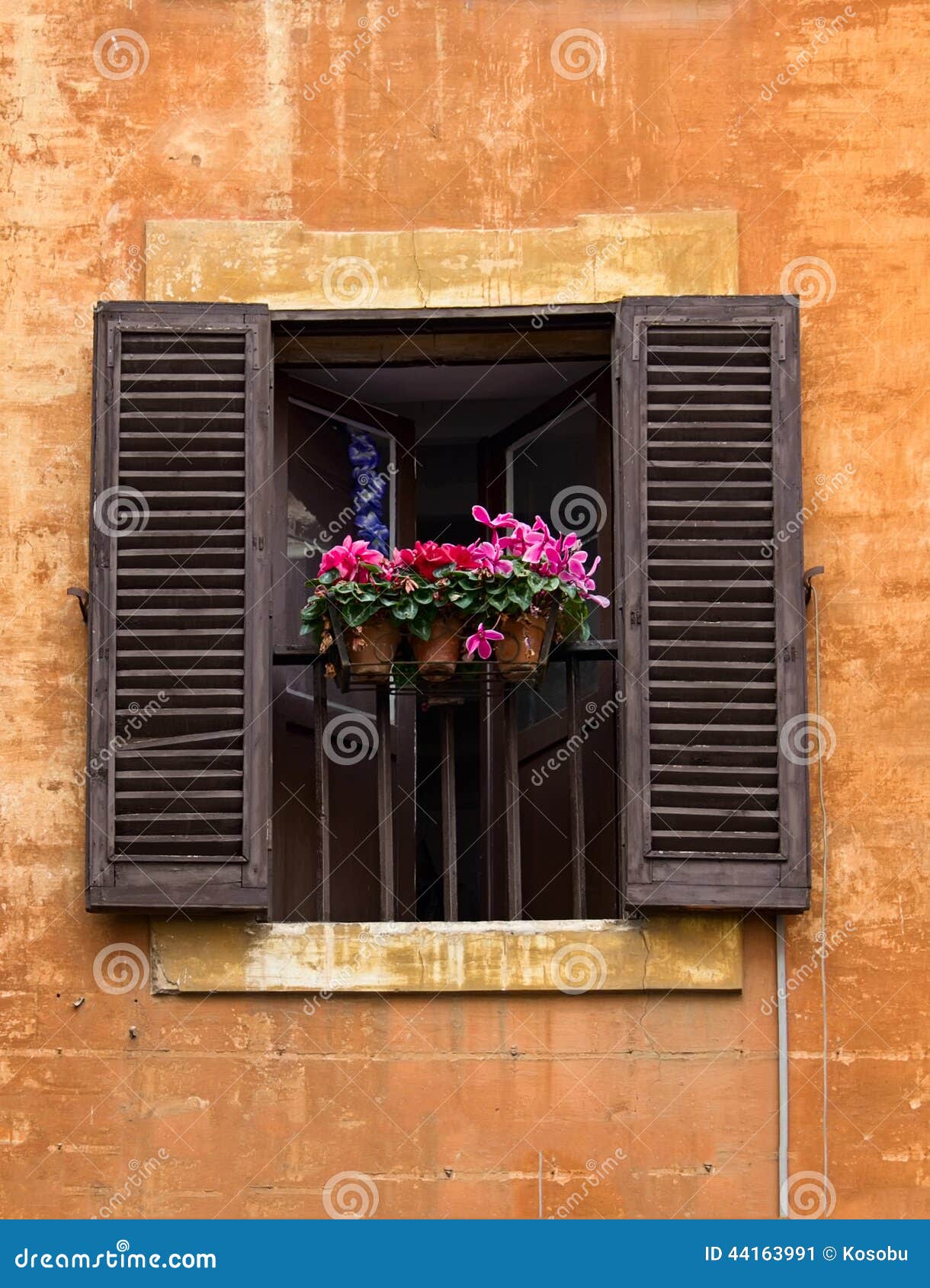 Opened Window with Flower Pots on Facade in Rome, Italy Stock Image ...
