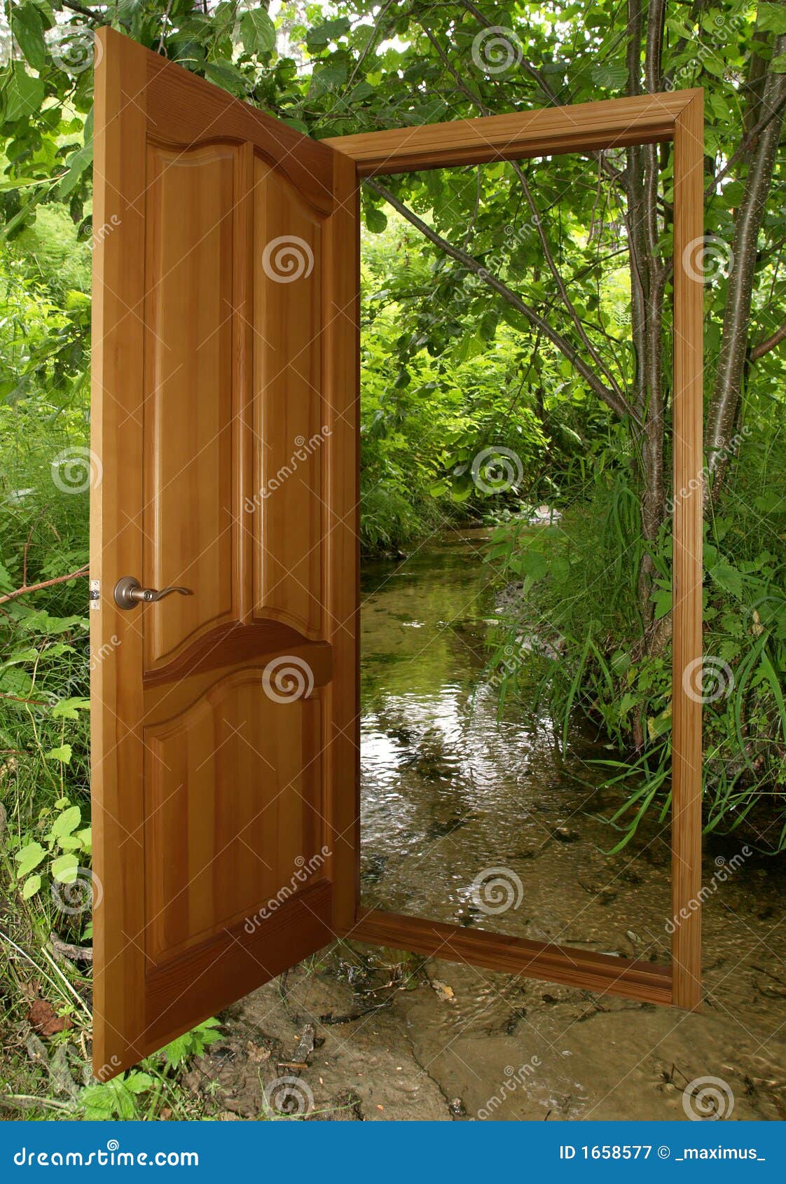 Opened Wooden Door with Forest Stock Image - Image of house, entering ...