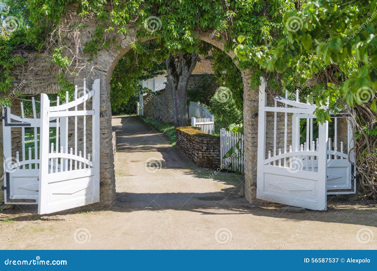 Opened Wooden Gate Decorated with Climbing Plant Stock Image - Image of ...